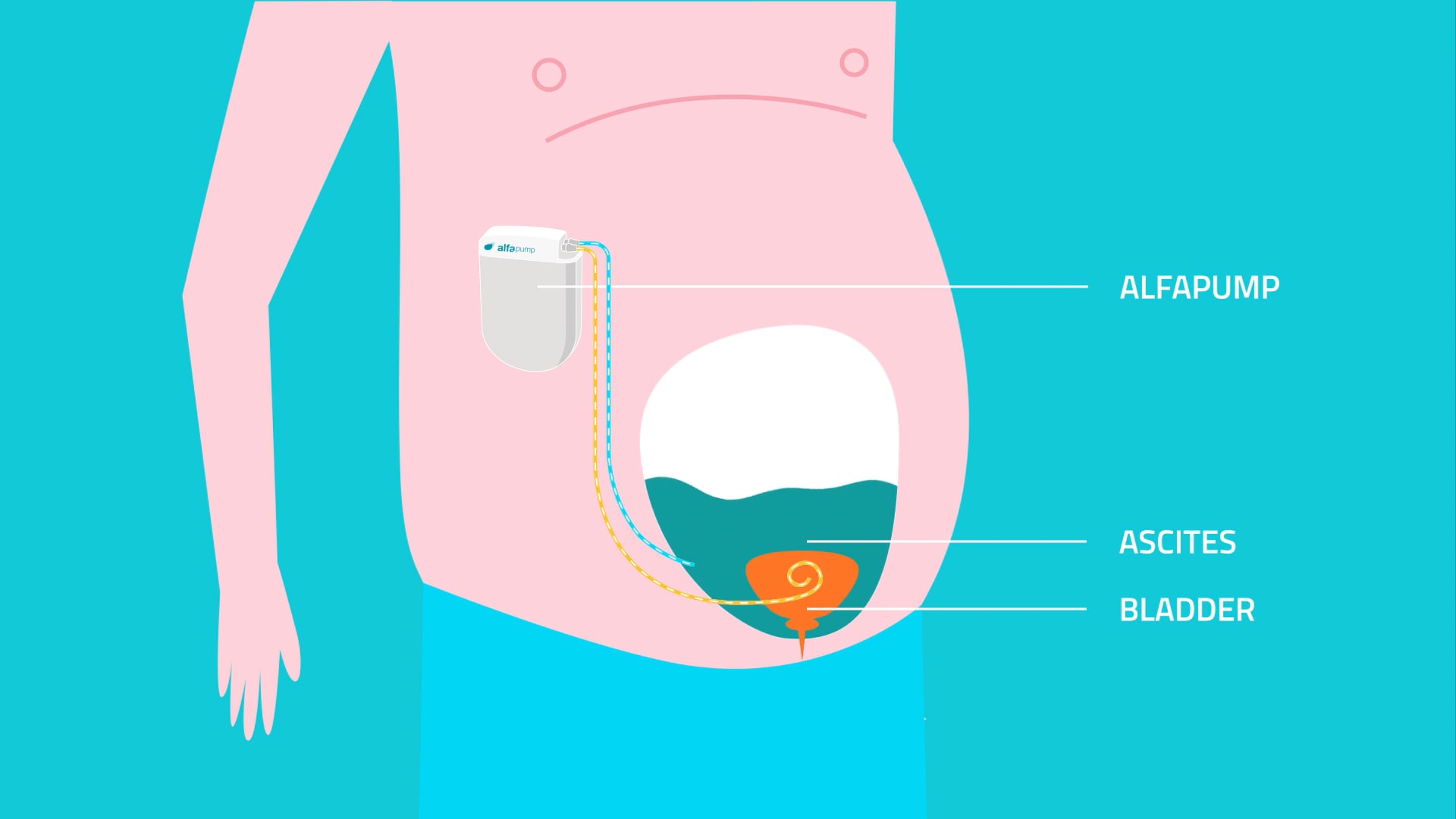 Science Animation for Alfapump | Case Study & Insights