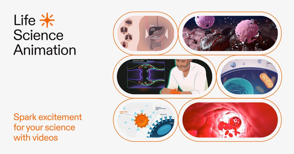 Spark excitement for your science with animations